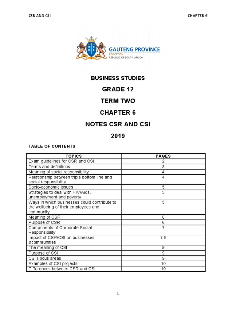 CSR and CSI in Business Studies Grade 12 | PDF | Corporate Social ...