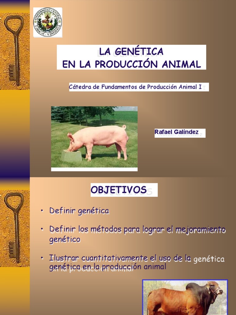 2 Genetica etapaII | PDF | Organismo genéticamente modificado | Clonación