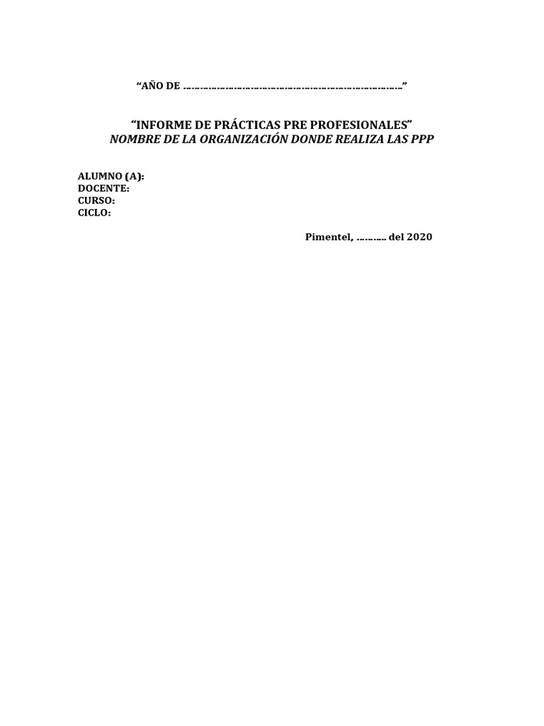 Esquema Informe Final PPP Incluido Plan de Mejora | PDF