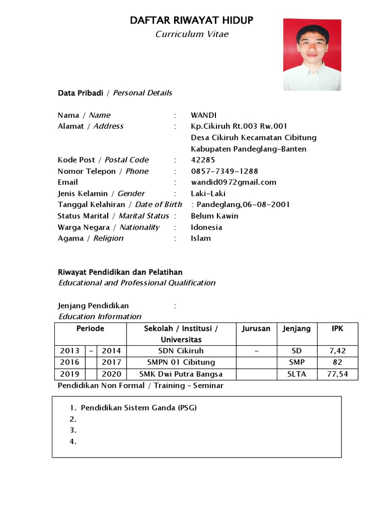 Form CV | PDF