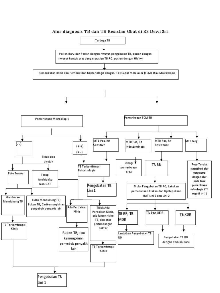 Alur Diagnosis TB | PDF