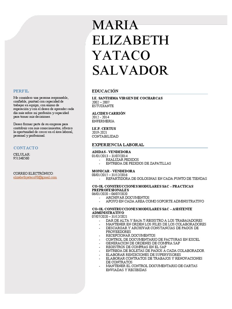 Curriculum Vitae Maria Yataco | PDF | Business