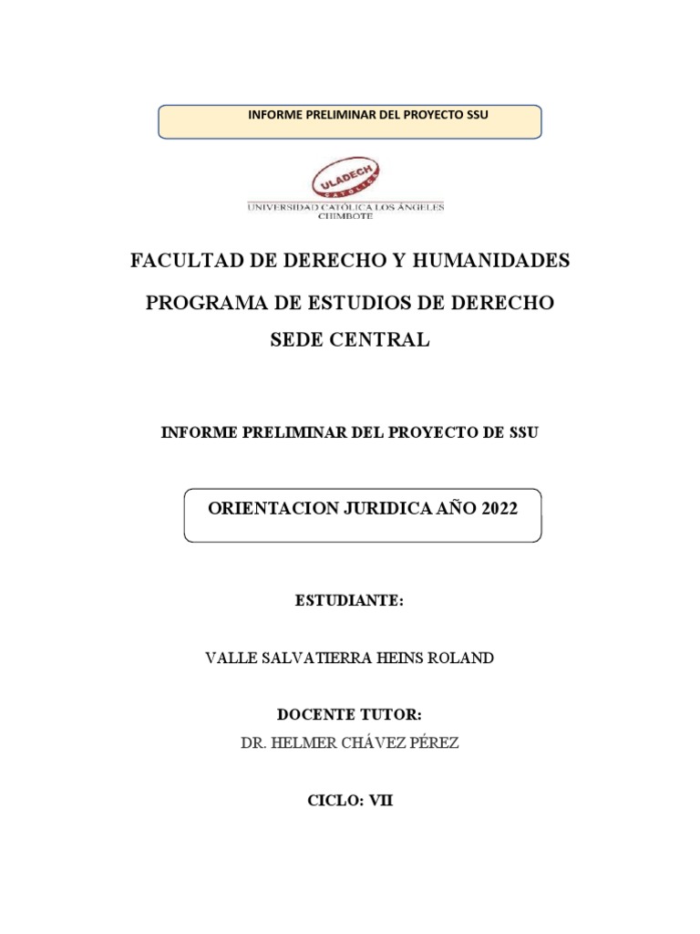 Formato Del Informe Preliminar Pdf Justicia Crimen Y Violencia