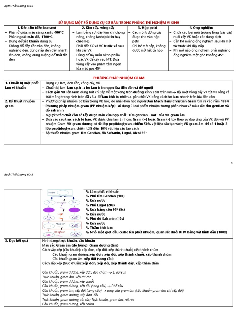 Thực Tập Vi Sinh - Bạch Thái Dương YC45 | PDF