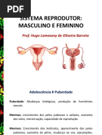 L08 - Escala de Tanner Feminina | PDF | Puberdade | Infância