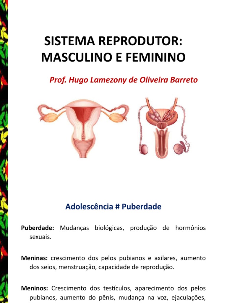 Sistemas reprodutores masculino e feminino | PDF | Sistema reprodutivo | Próstata