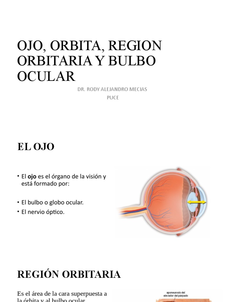 Ojo, Orbita, Region Orbitaria Y Bulbo Ocular: Dr. Rody Alejandro Mecias ...