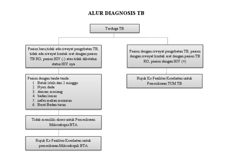 Alur Diagnosis TB | PDF