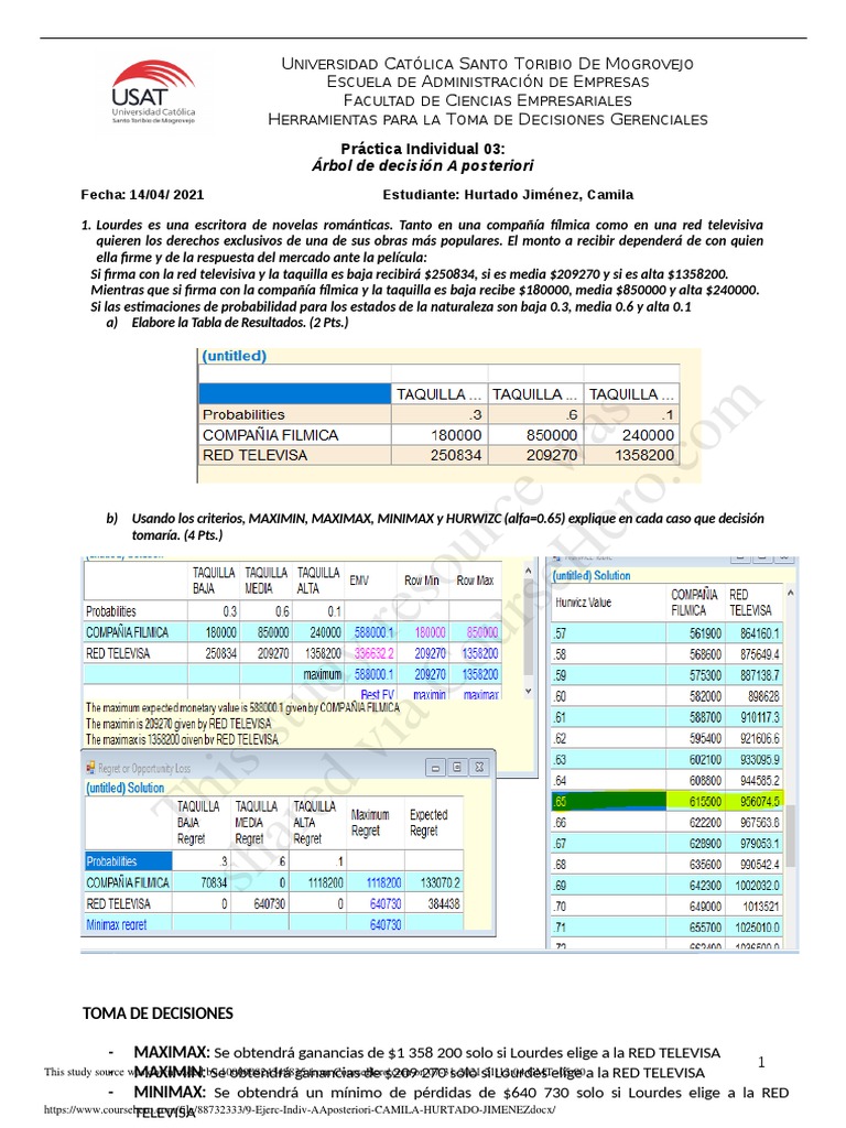 Ejerc Indiv Aaposteriori Camila Hurtado Jimenez | PDF | Cognición | Toma de decisiones