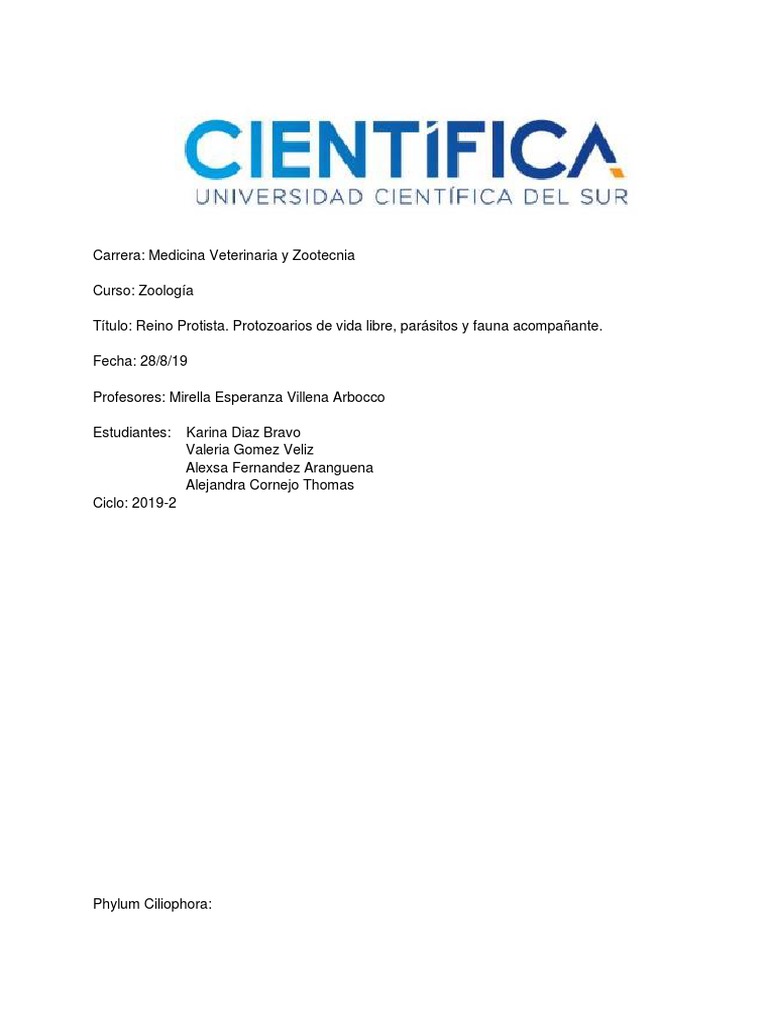 CornejoThomasAlejandra Protista 2B2 28agosto19 | PDF | Eucariotas | Organismos