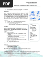 Observing Human Cheek Cells Under Microscope | PDF | Cell (Biology ...