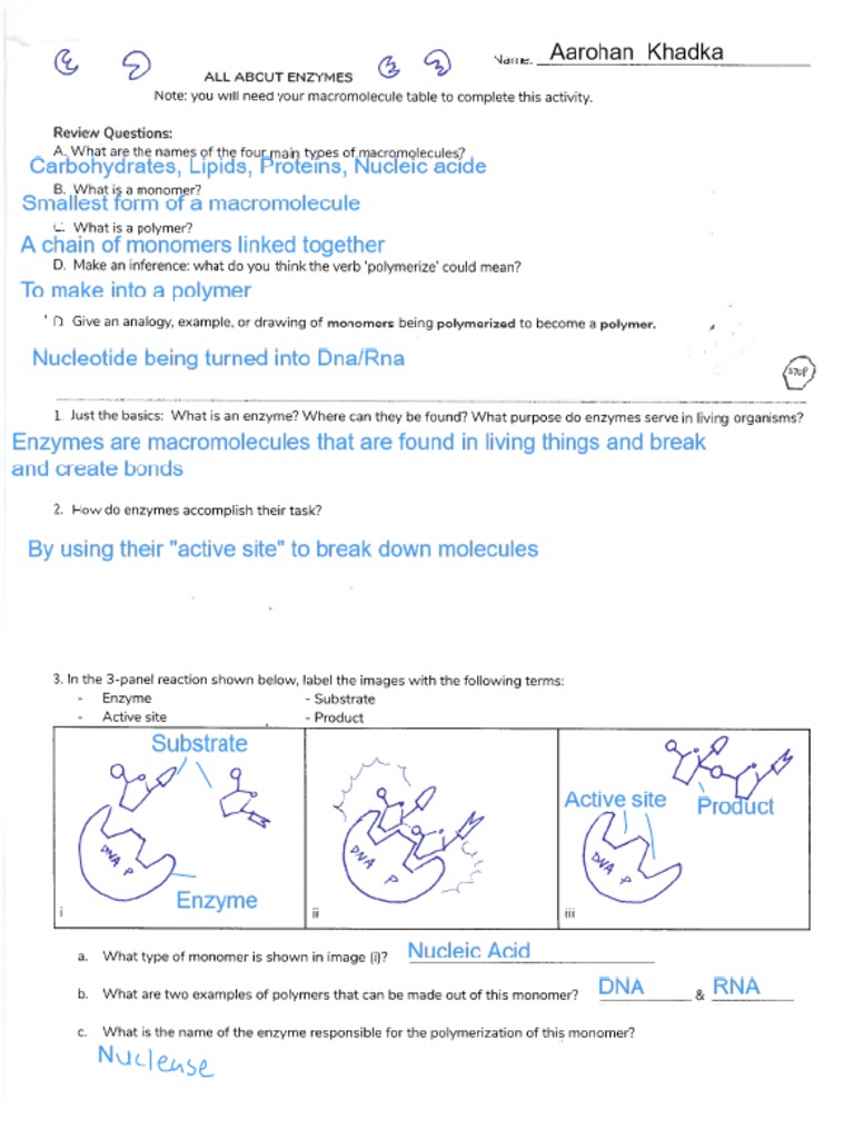 All About Enzymes | PDF
