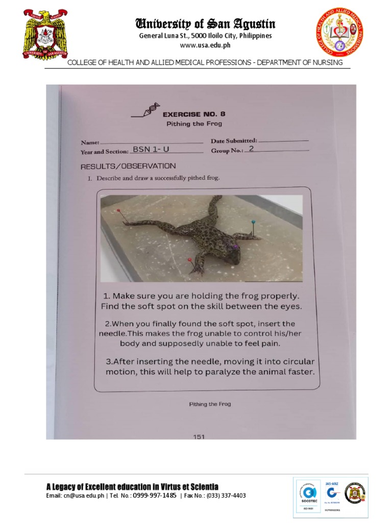 Lab Exercise 8 and 9 Group 2 | PDF