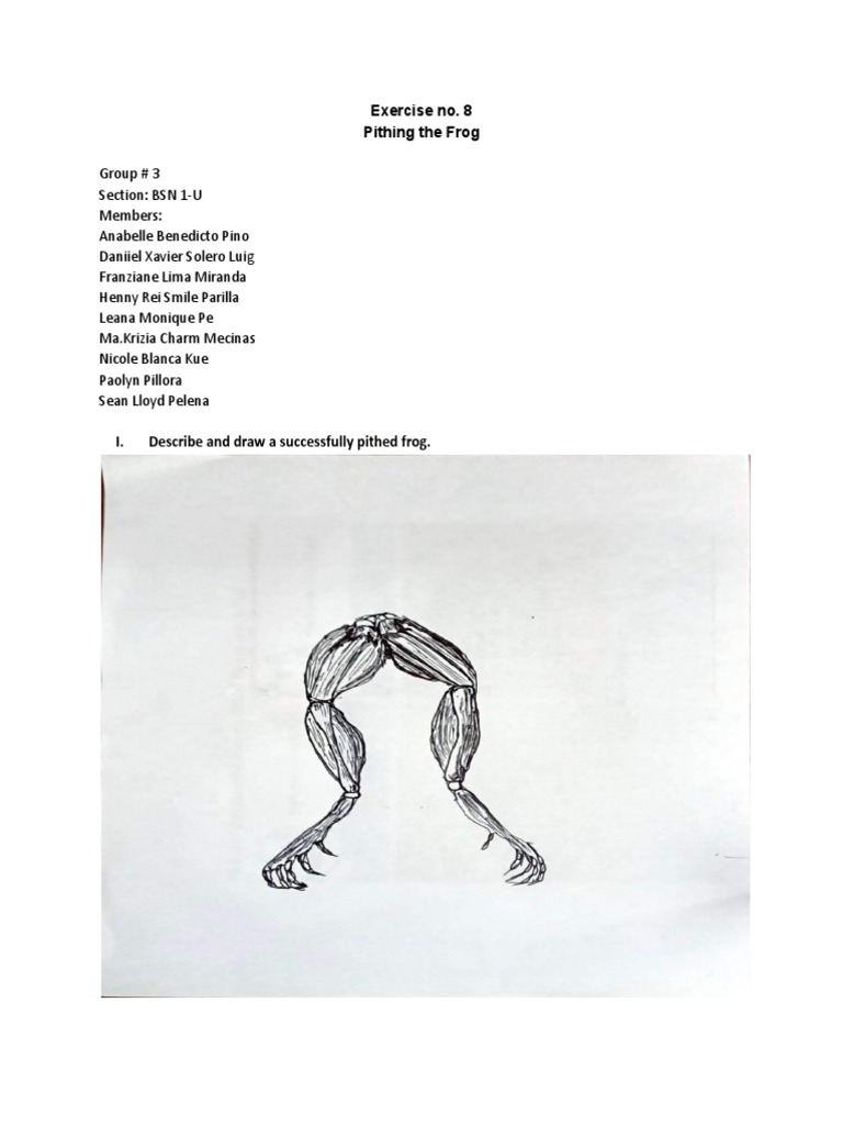 Pithing Procedure for Frogs Explained | PDF