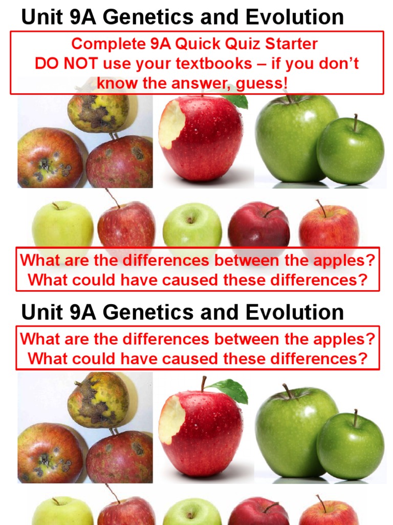 9aa Environmental Variation VLE V3 | Download Free PDF | Species | Genetics