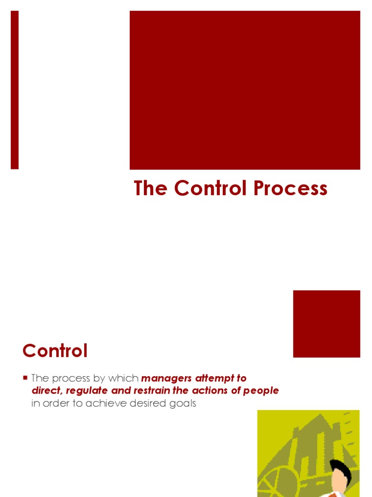 The Control Process | PDF | Inventory | Prices