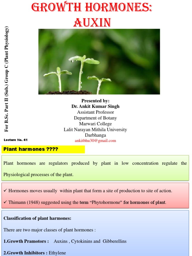 Auxins | PDF | Auxin | Plant Hormone