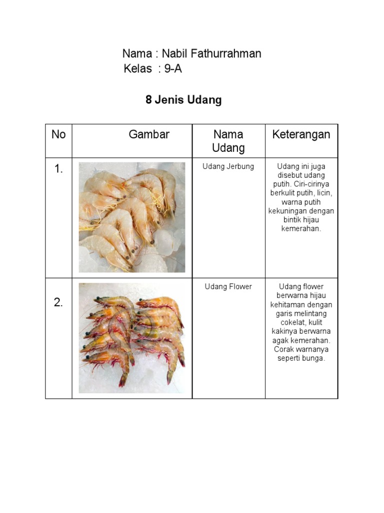 Jenis-Jenis Udang ? | PDF