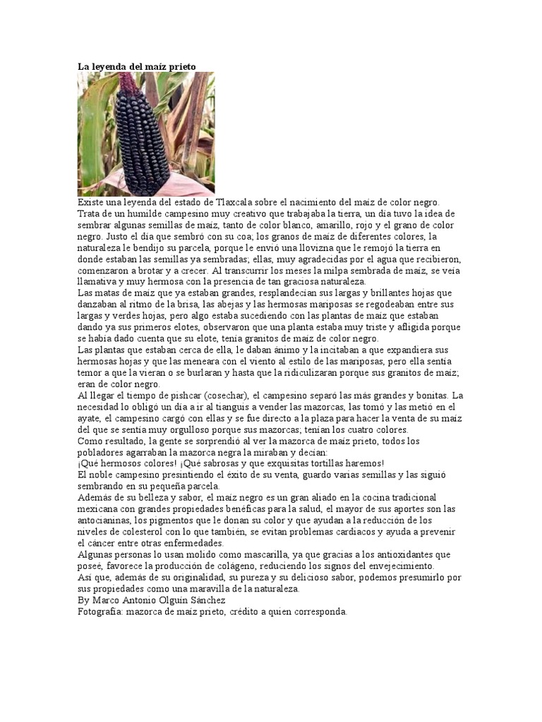 La Leyenda Del Maíz Prieto | PDF | Maíz