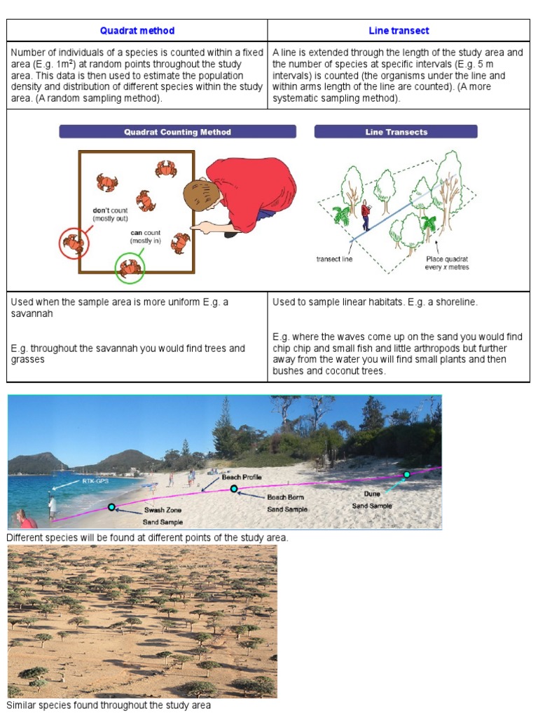 Transect vs Quadrat Sampling Methods | PDF
