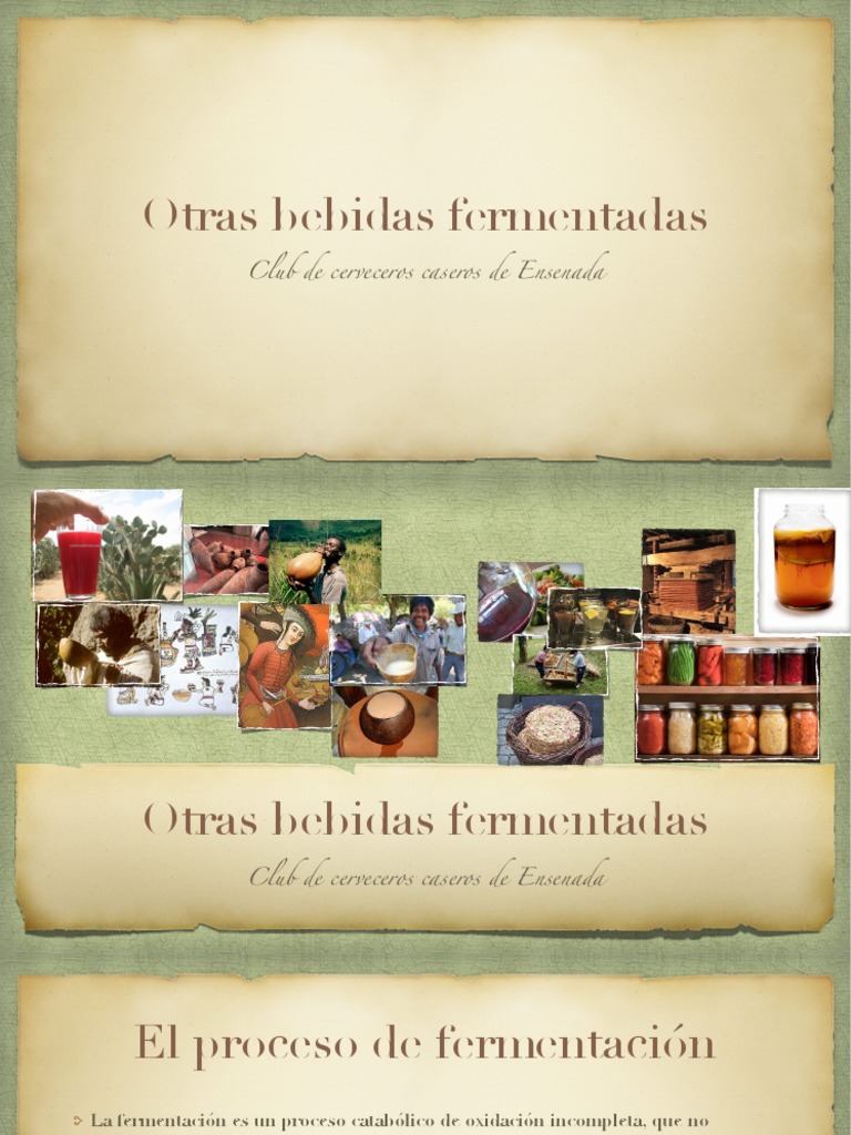 Bebidas Fermentadas | PDF | Fermentación | Preparación de comida y bebida