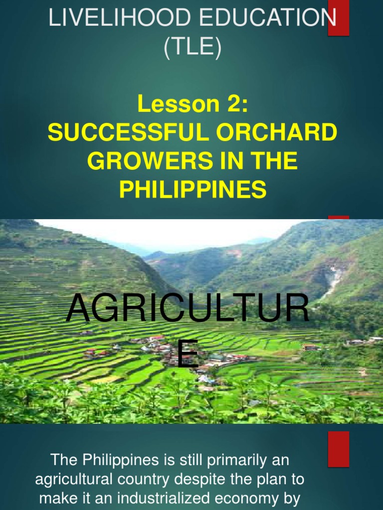 Successful Orchard Growers in the Philippines | PDF | Wellness