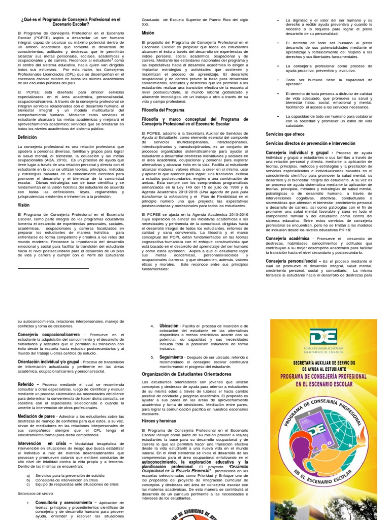 Opusculo Consejeria Profesional Escenario Escolar | PDF | Salud mental ...