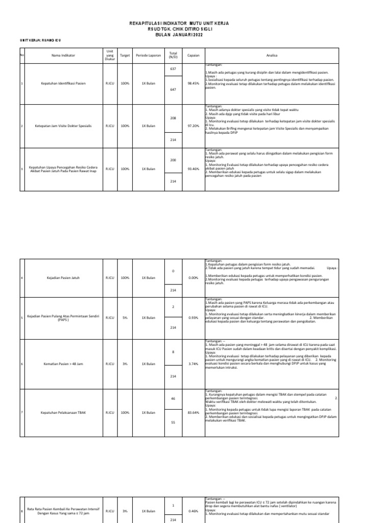 Laporan Indikator Mutu Icu | PDF