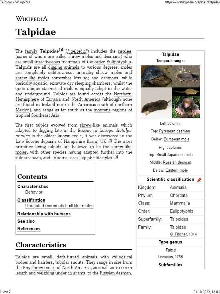 Talpidae | PDF