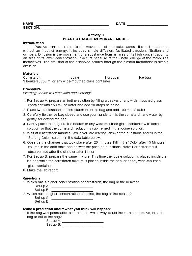 Plastic Baggie Cell Model Experiment | PDF | Wellness