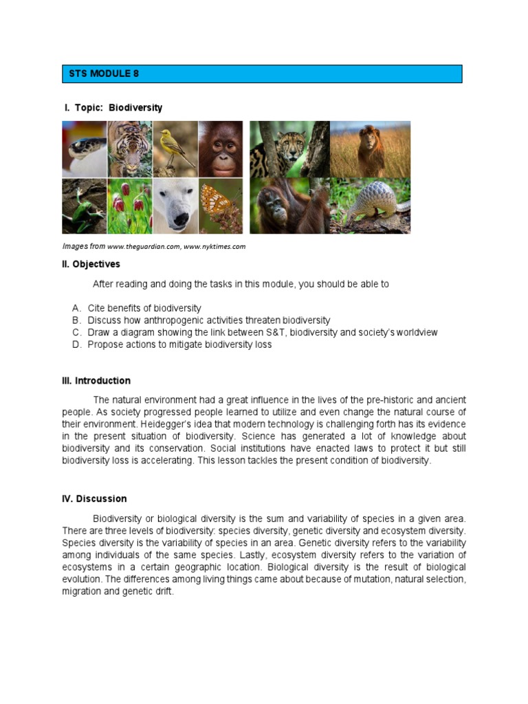 STS Module 8 Biodiversity | PDF | Biodiversity | Human Impact On The ...