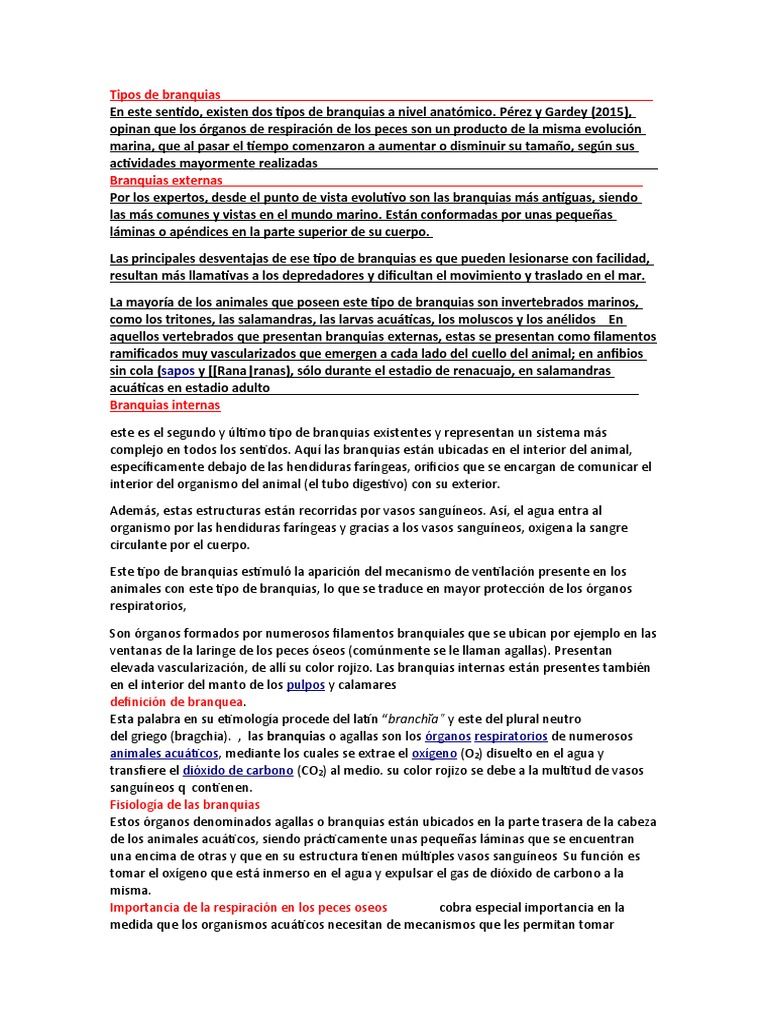 Tipos de Branquias en Este Sentido | PDF | Branquia | Respiración