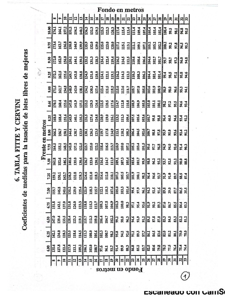 Fitte y Cervini | PDF