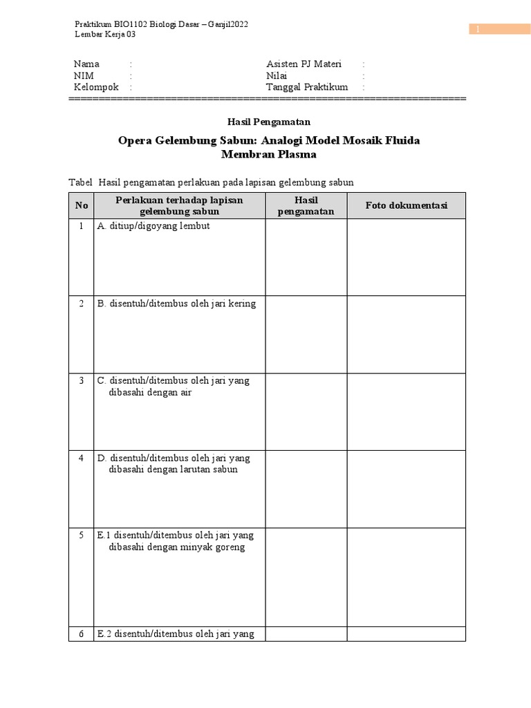 BIO1102 - 03 - LEMBAR KERJA - Opera Gelembung Sabun | PDF