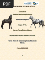 Características del exudado purulento | PDF | Infección | Medicina CLINICA