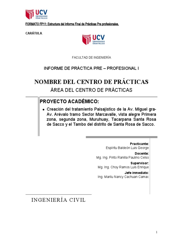 Formato FP11 - Estructura Del Informe Final de Prácticas | PDF | Business | Science