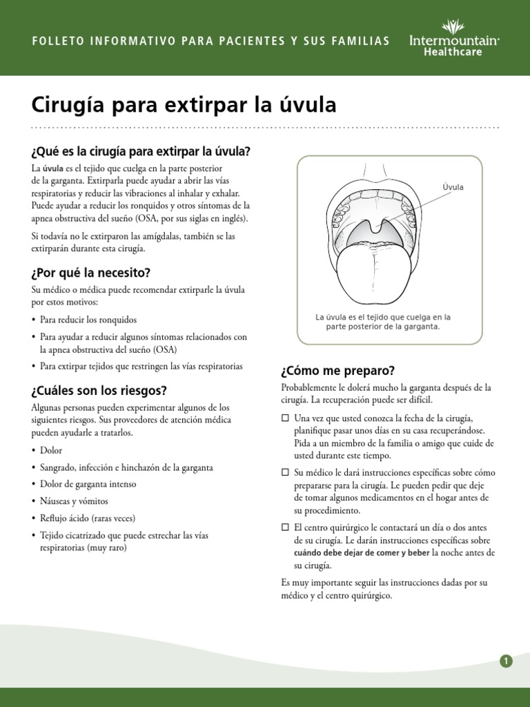 Uvula Removal Surgery Fact Sheet Spanish | PDF | Cirugía | Alimentos
