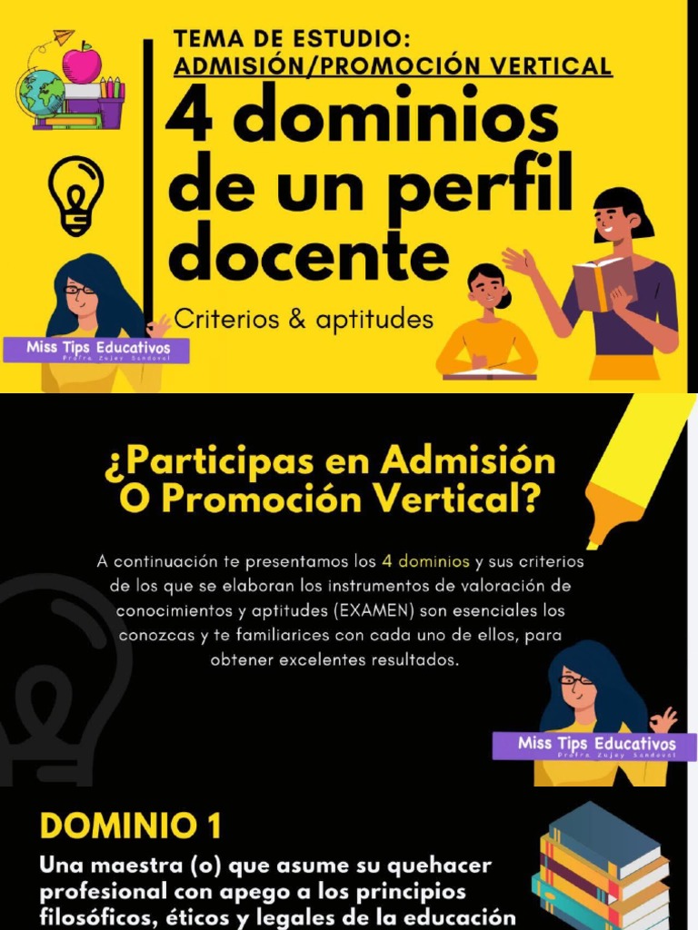 4 Dominios de Un Perfil Docente | PDF