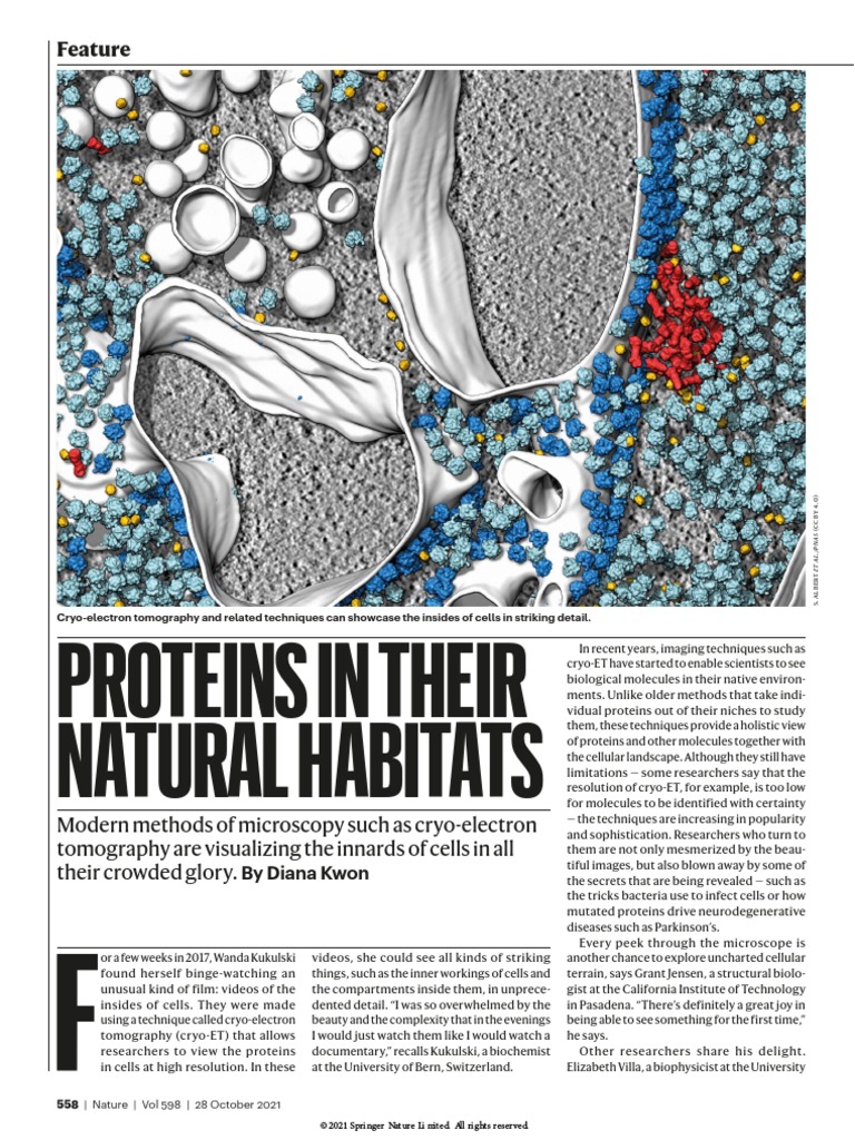 Proteins in Their Natural Habitats: Feature | PDF | Cell (Biology ...