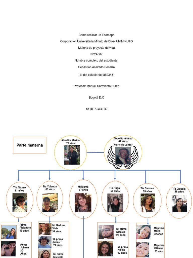 Como Realizar Un Ecomapa | PDF