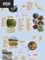 Las 15 Regiones de Chiapas | PDF | Chiapas | Mesoamérica