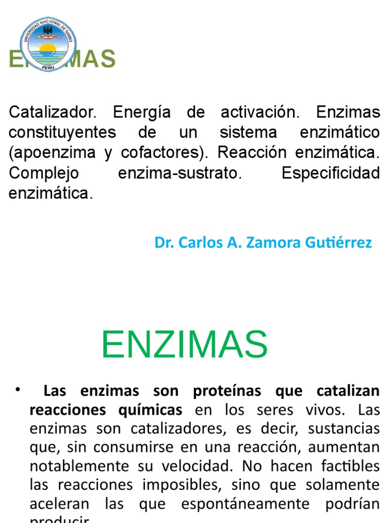 SEM 2 Enzimas | PDF | Enzima | Cofactor (Bioquímica)