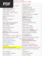 Latin Terms for Anatomy Explained | PDF | Neck | Abdomen