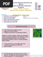 Línea Del Tiempo de La Microbiología - 20250122 - 231540 - 0000 | PDF | Microbiología | Adn