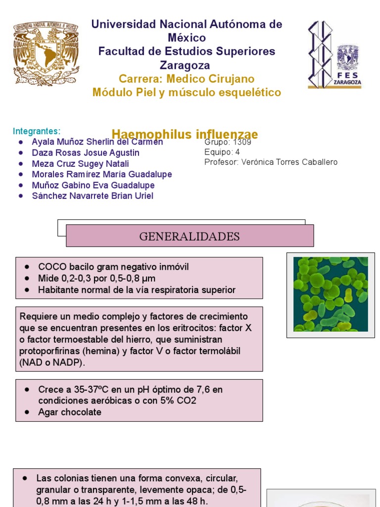 Características generales, virulencia, patogenicidad y epidemiología de ...