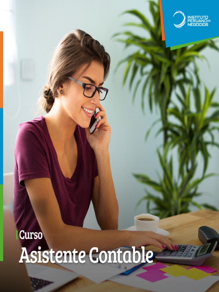 Asistente Contable | PDF | Contador | Contabilidad