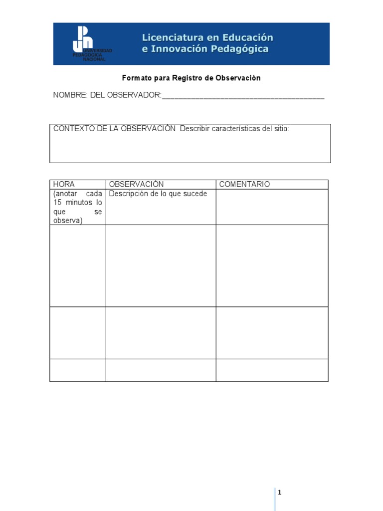 Formato para Registro de Observación | PDF