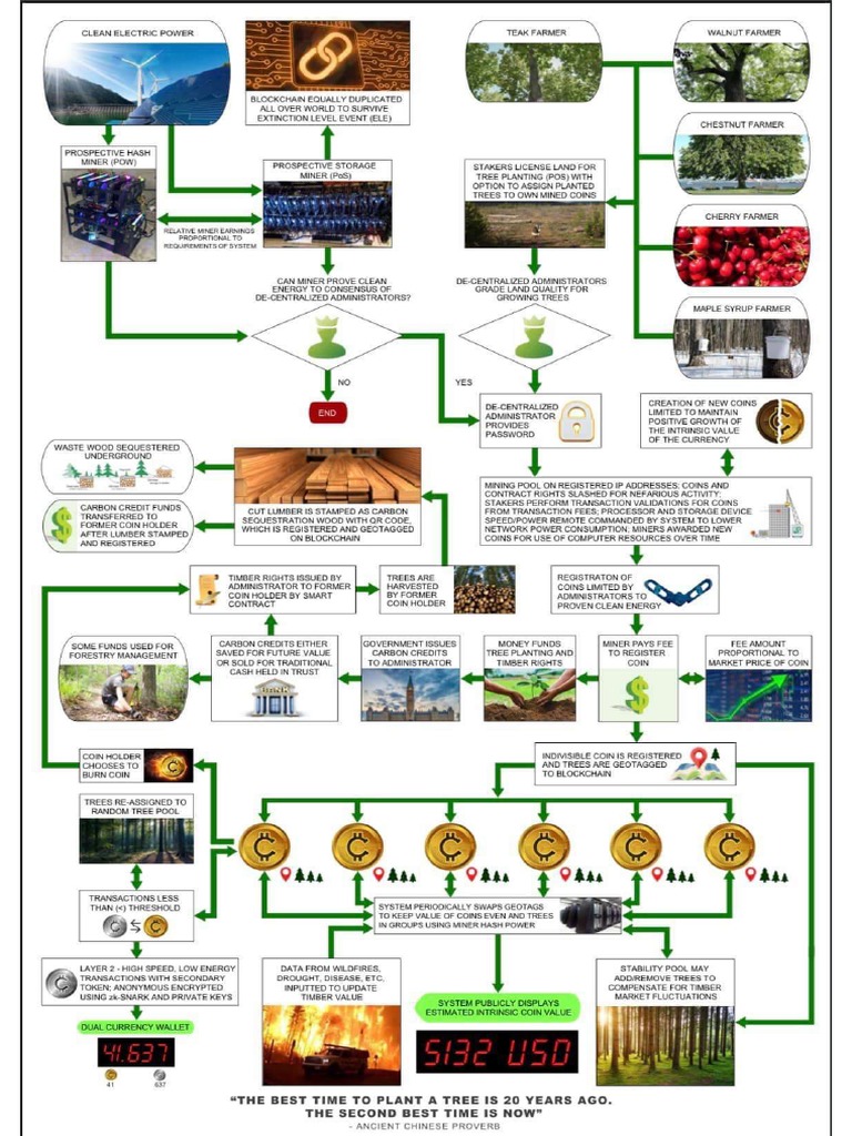 Carbonite Flow Chart | PDF
