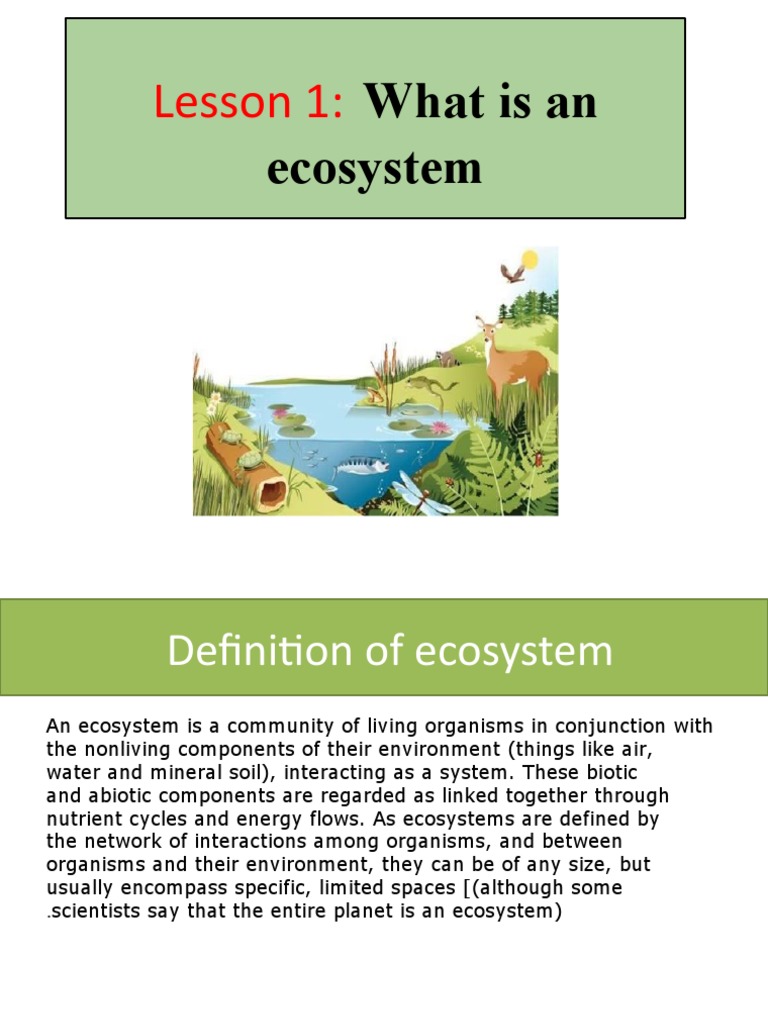 Lesson 1 | PDF | Science & Mathematics