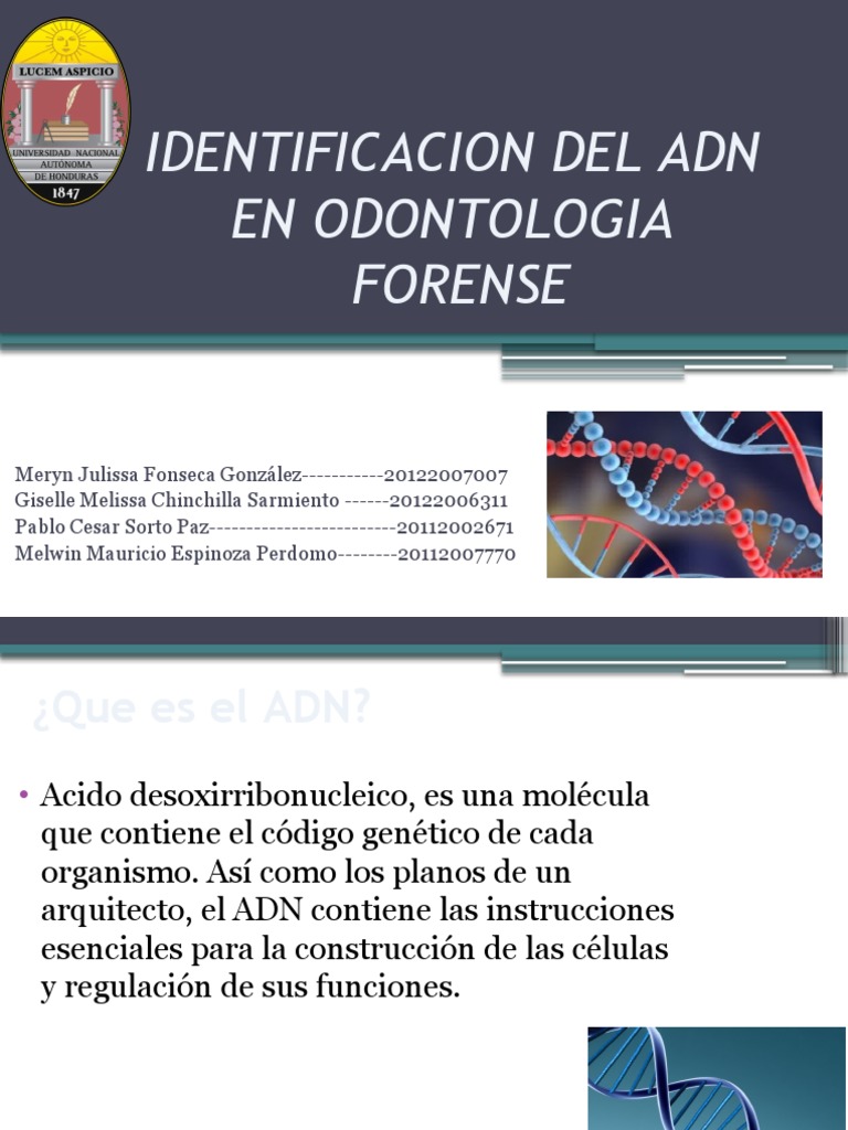 (Forense) Identificacion Del ADN en Odontologia Forense | PDF | Adn ...
